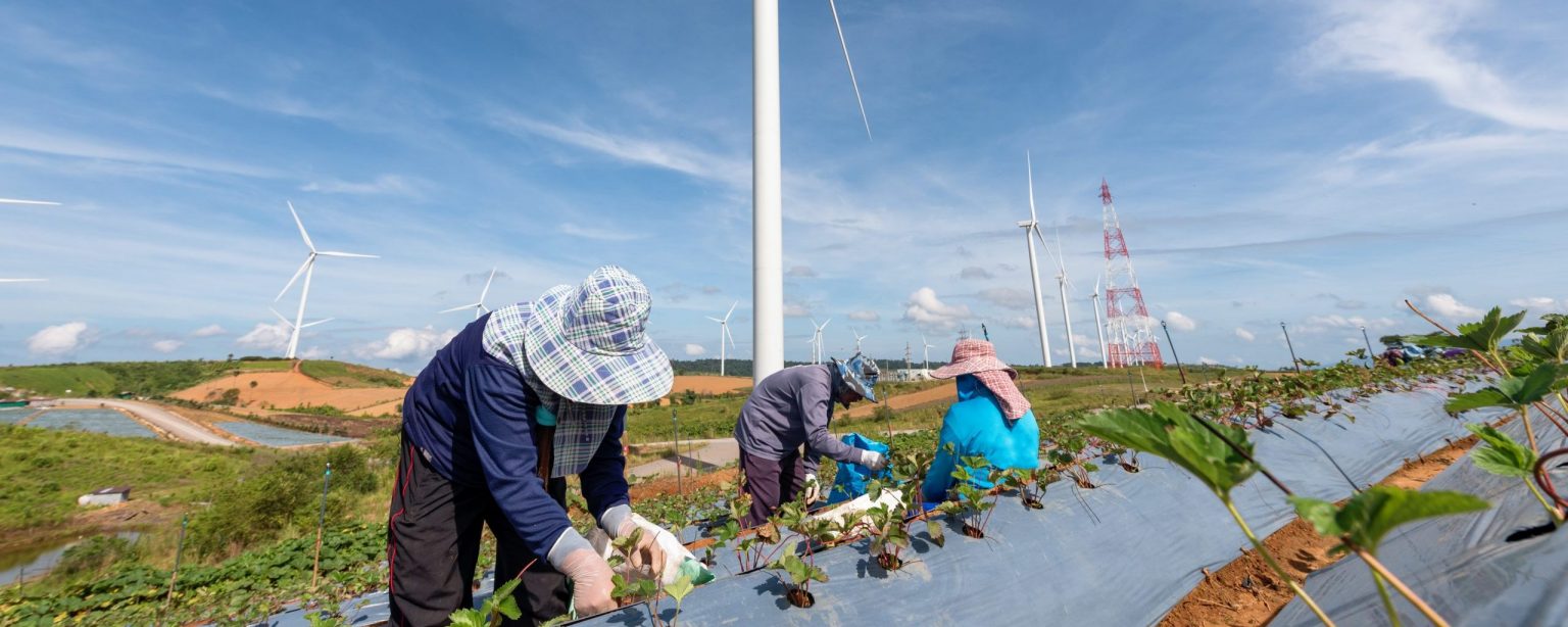 Farm Workforce Modernization Act reintroduced in the House of ...